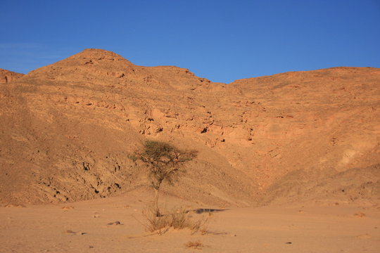 "Moyen Orient"-Bilder: Stock-Fotos & -Videos. | Adobe Stock