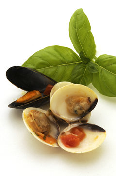 Imágenes de Pedoci: descubre bancos de fotos, ilustraciones, vectores y ...