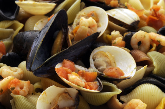 「Pedoci」の画像 - 197 件の Stock 写真、ベクターおよびビデオ | Adobe Stock