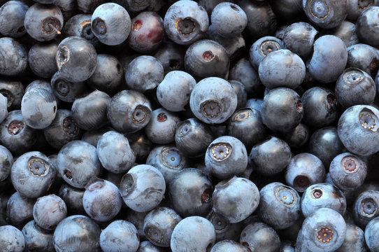 Myrtille Bilder – Durchsuchen 2,581 Archivfotos, Vektorgrafiken und ...