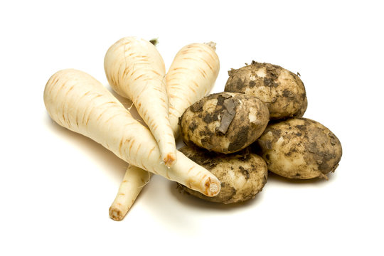 รูปภาพTuber – เลือกดูภาพถ่ายสต็อก เวกเตอร์ และวิดีโอ136,917 | Adobe Stock