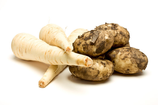 รูปภาพTuber – เลือกดูภาพถ่ายสต็อก เวกเตอร์ และวิดีโอ136,917 | Adobe Stock