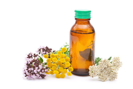 Thume Images – Browse 48 Stock Photos, Vectors, and Video | Adobe Stock