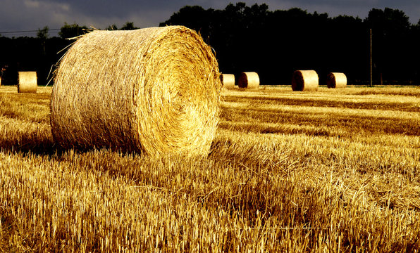 「Heurolle」の画像 - 192 件の Stock 写真、ベクターおよびビデオ | Adobe Stock