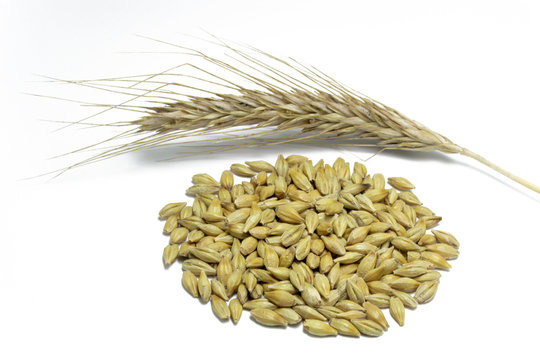 「Gerste」の画像 - 17,233 件の Stock 写真、ベクターおよびビデオ | Adobe Stock