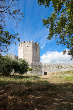 รูปภาพPlatamonas – เลือกดูภาพถ่ายสต็อก เวกเตอร์ และวิดีโอ1,509 | Adobe ...