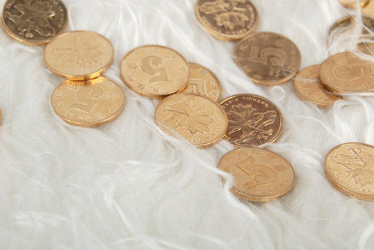 Disorganized Images – Browse 6,951 Stock Photos, Vectors, and Video ...