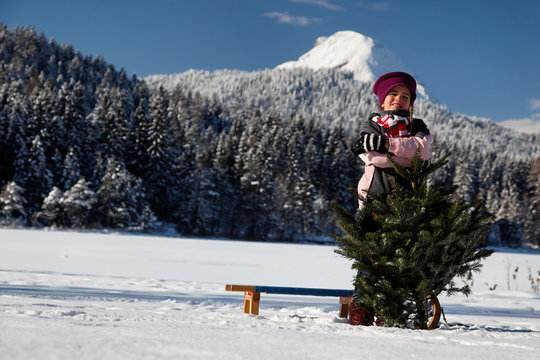 Feieren bilder – Bläddra bland 192 stockfoton, vektorer och videor ...