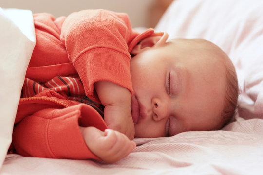 Gianchetti bilder – Bläddra bland 5,109 stockfoton, vektorer och videor ...