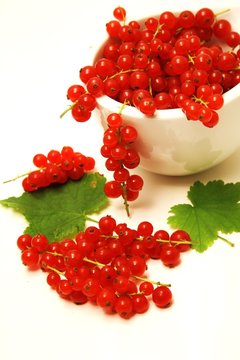 รูปภาพGartenbeeren – เลือกดูภาพถ่ายสต็อก เวกเตอร์ และวิดีโอ105 | Adobe ...