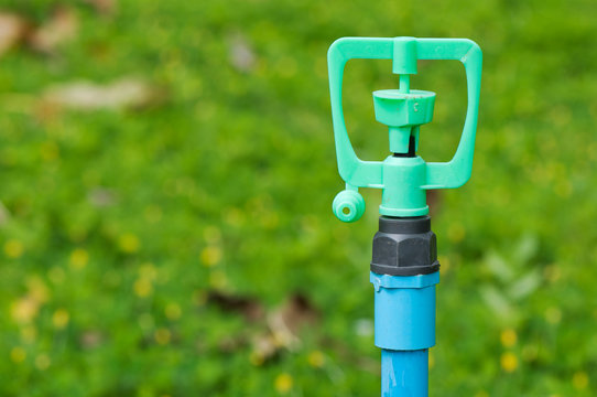 「Springle」の写真素材 | 291件の無料イラスト画像 | Adobe Stock