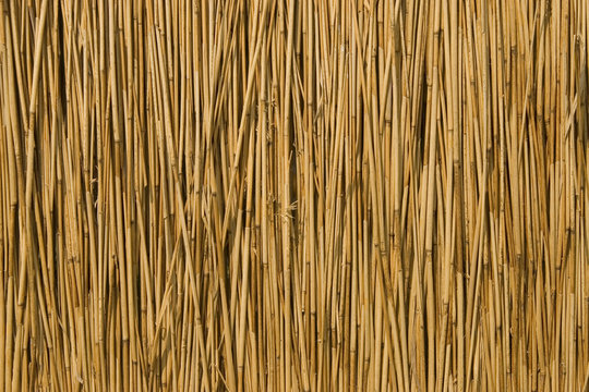 Thatch Texture Bilder – Durchsuchen 8,711 Archivfotos, Vektorgrafiken ...