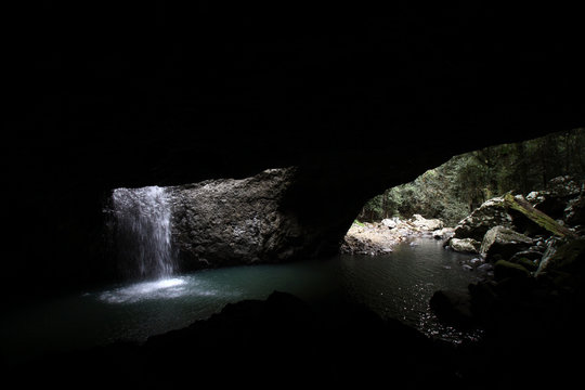 "Springbrook National Park" Images – Browse 473 Stock Photos, Vectors ...