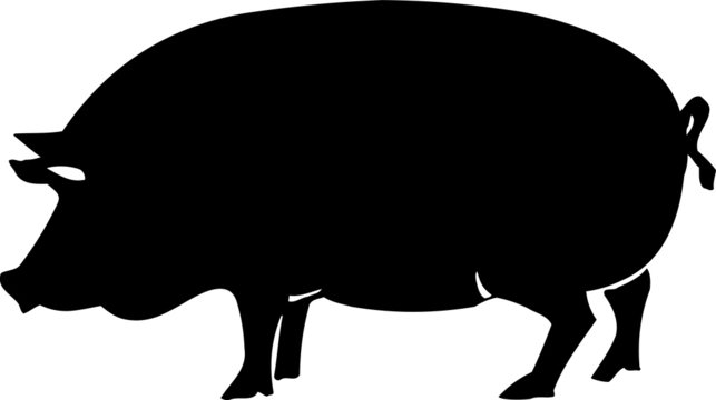 Sau Bilder – Durchsuchen 144,567 Archivfotos, Vektorgrafiken und Videos ...