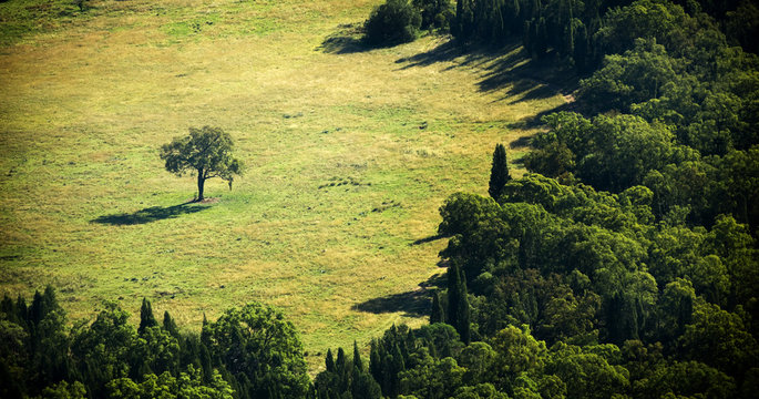 รูปภาพEcolgy – เลือกดูภาพถ่ายสต็อก เวกเตอร์ และวิดีโอ133 | Adobe Stock