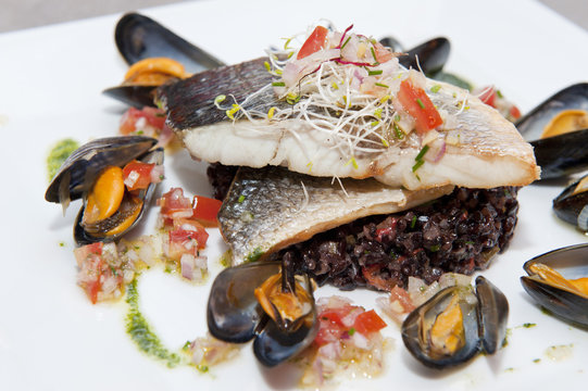 "Dorade Box"-Bilder: Stock-Fotos & -Videos. | Adobe Stock