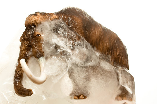 Woolly Mammoth Frozen In Ice