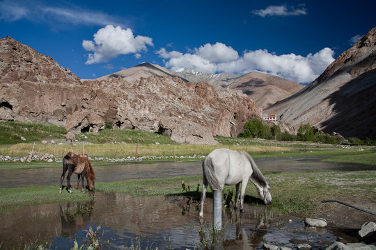 Nobra-Bilder: Stock-Fotos & -Videos. | Adobe Stock