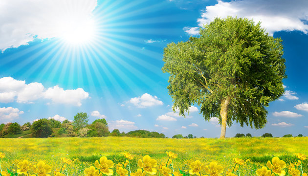 "Beau Temps" Images – Browse 4,931 Stock Photos, Vectors, and Video ...