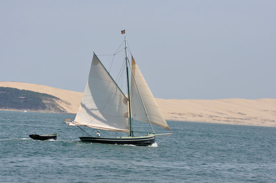 Aglet Images – Browse 4,465 Stock Photos, Vectors, and Video | Adobe Stock