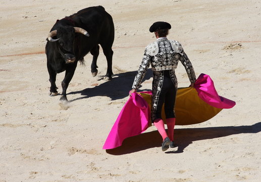 Toromachie - Images et vidéos libres de droits | Adobe Stock