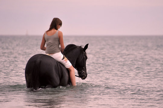 Imágenes de Chevaucher: descubre bancos de fotos, ilustraciones ...