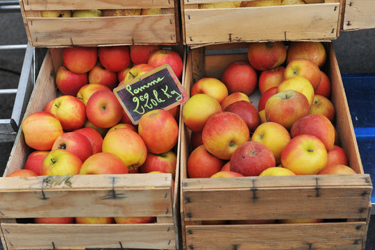 รูปภาพCageot – เลือกดูภาพถ่ายสต็อก เวกเตอร์ และวิดีโอ1,460 | Adobe Stock