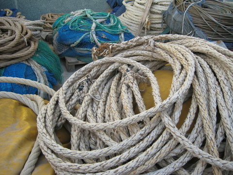 Sogas Bilder – Durchsuchen 88 Archivfotos, Vektorgrafiken und Videos ...