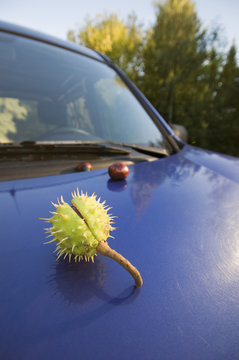 「Frontscheibe」の画像 - 1,400 件の Stock 写真、ベクターおよびビデオ | Adobe Stock