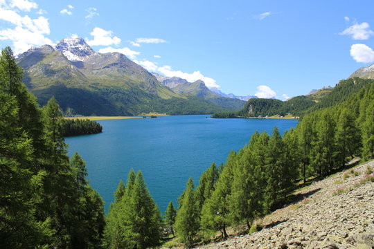 Silsersee bilder – Bläddra bland 2,382 stockfoton, vektorer och videor ...