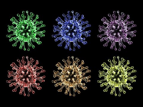 N5H1 Images – Browse 7 Stock Photos, Vectors, and Video | Adobe Stock