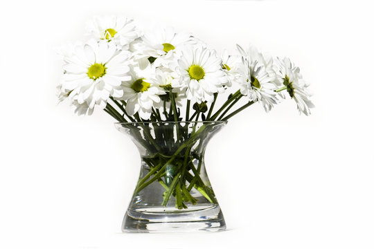 Vaase Images – Browse 14 Stock Photos, Vectors, and Video | Adobe Stock