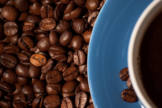 "Balu Images – Browse 1,515 Stock Photos, Vectors, and Video | Adobe Stock