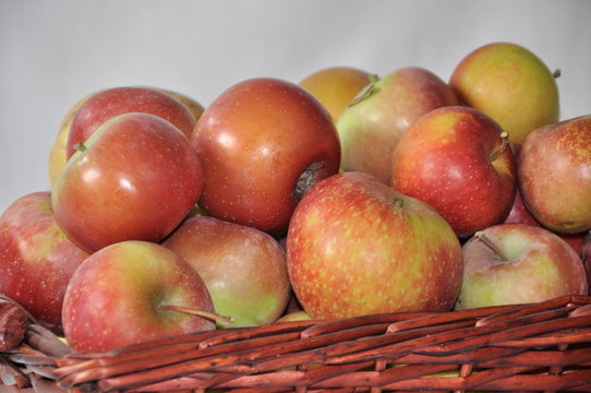 "Fruit Bio"-Bilder: Stock-Fotos & -Videos. | Adobe Stock