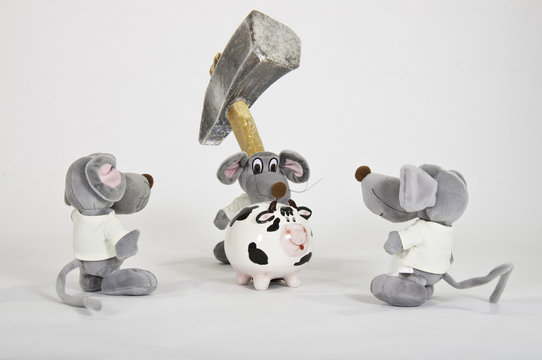 Ocico Images – Browse 79 Stock Photos, Vectors, and Video | Adobe Stock