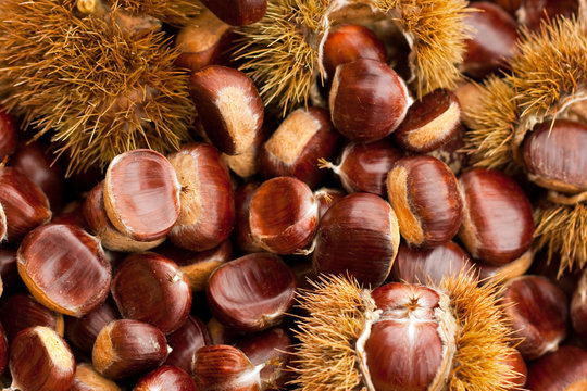 รูปภาพEdelkastanien – เลือกดูภาพถ่ายสต็อก เวกเตอร์ และวิดีโอ1,098 ...