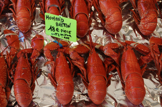 Homards Bilder – Durchsuchen 358 Archivfotos, Vektorgrafiken und Videos ...