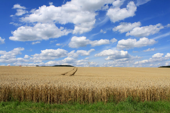 รูปภาพFelder – เลือกดูภาพถ่ายสต็อก เวกเตอร์ และวิดีโอ62,099 | Adobe Stock