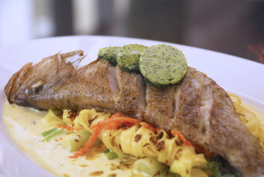 Hamour Images – Browse 67 Stock Photos, Vectors, and Video | Adobe Stock