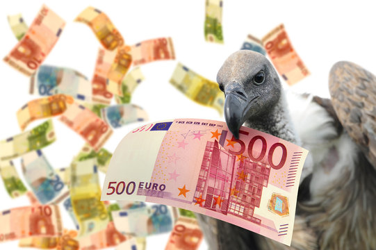 Pleitegeier-Bilder: Stock-Fotos & -Videos. | Adobe Stock