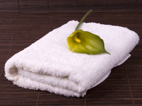 Ayur Images – Browse 36 Stock Photos, Vectors, and Video | Adobe Stock