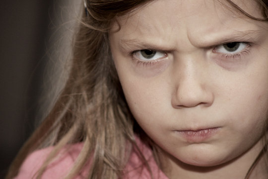 Stolidly Bilder – Durchsuchen 1,260 Archivfotos, Vektorgrafiken und ...