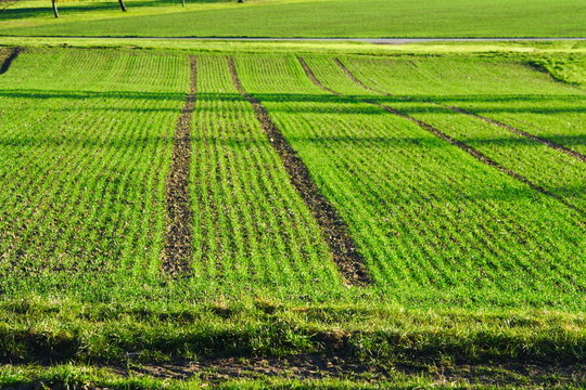 รูปภาพKeimend – เลือกดูภาพถ่ายสต็อก เวกเตอร์ และวิดีโอ138 | Adobe Stock