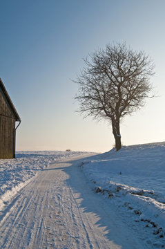 รูปภาพScheuer – เลือกดูภาพถ่ายสต็อก เวกเตอร์ และวิดีโอ328 | Adobe Stock