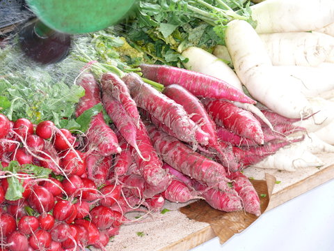 Radi 이미지 – 찾아보기 1,306 스톡 사진, 벡터 및 비디오 | Adobe Stock