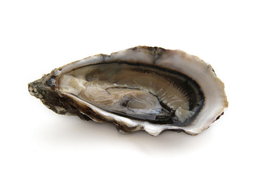 Huitre Images – Browse 3,843 Stock Photos, Vectors, and Video | Adobe Stock