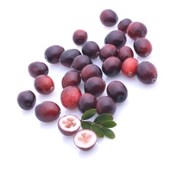 รูปภาพMoosbeeren – เลือกดูภาพถ่ายสต็อก เวกเตอร์ และวิดีโอ603 | Adobe Stock