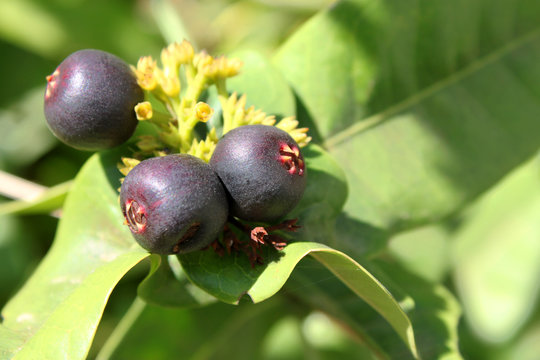 Exoras Images – Browse 29 Stock Photos, Vectors, and Video | Adobe Stock