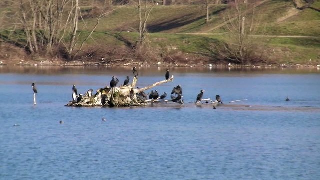 Judelle bilder – Bläddra bland 75 stockfoton, vektorer och videor ...