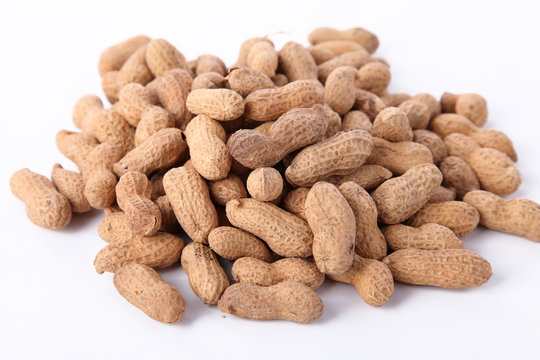 รูปภาพArachide – เลือกดูภาพถ่ายสต็อก เวกเตอร์ และวิดีโอ13,340 | Adobe Stock